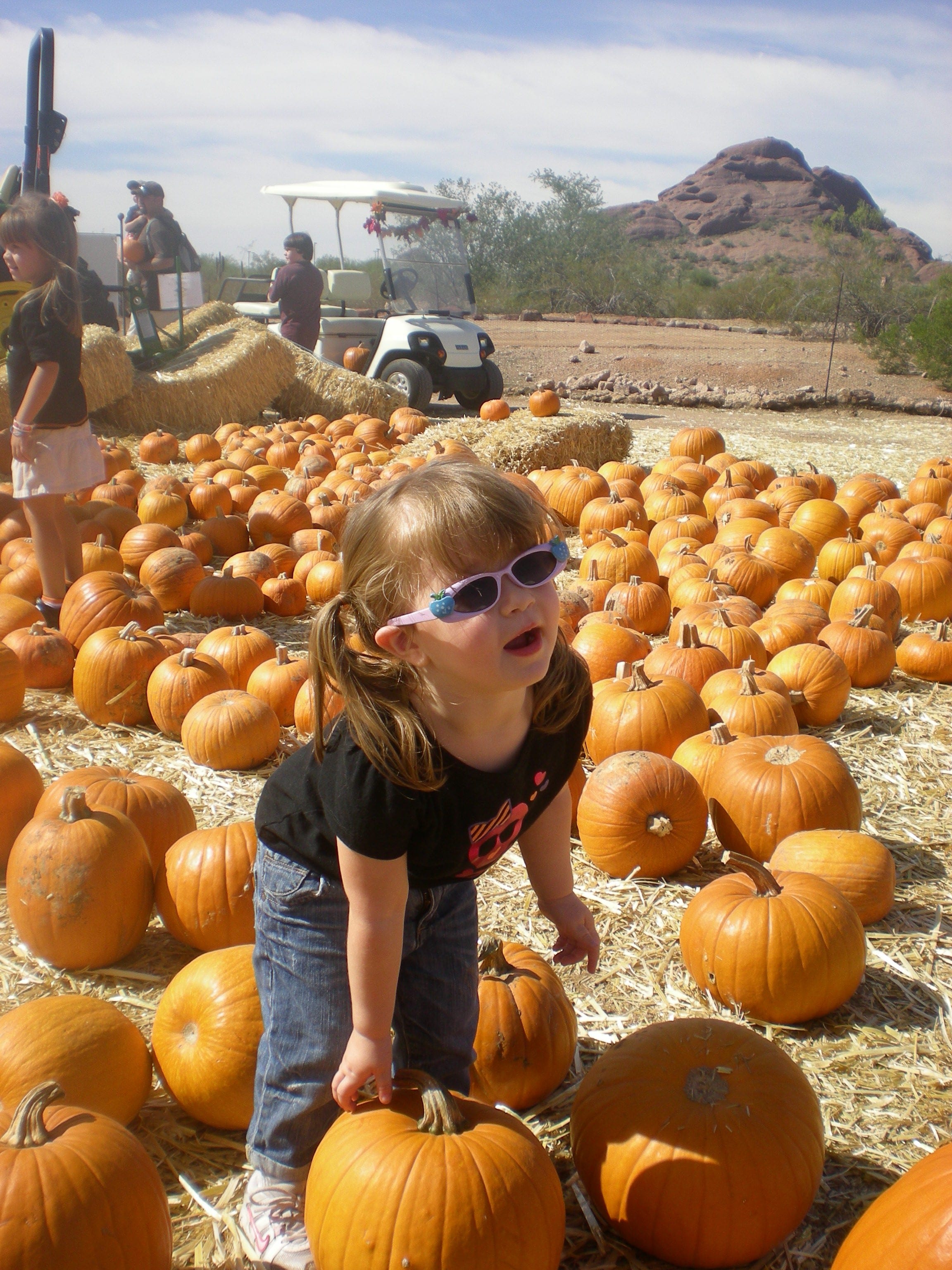 Tempe Tourism Pumpkins And Chiles Welcome Fall At Desert Botanical tempe-tourism-pumpkins-and-chiles-welcome-fall-at-desert-botanical