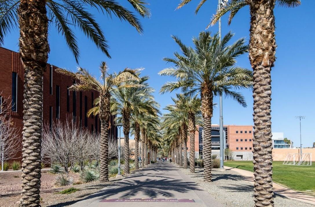 Hidden Gems on ASU Tempe Campus | Tempe Tourism