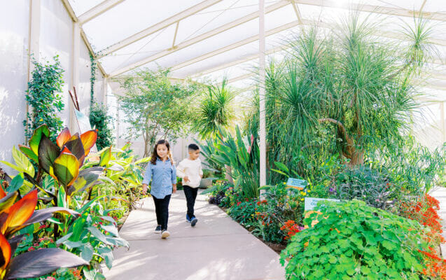 Kids & Family in Tempe | Tempe Tourism