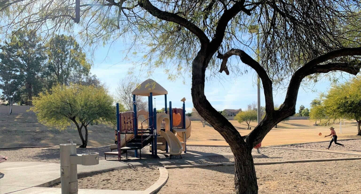 Picnics in the Park in Tempe | Tempe Tourism