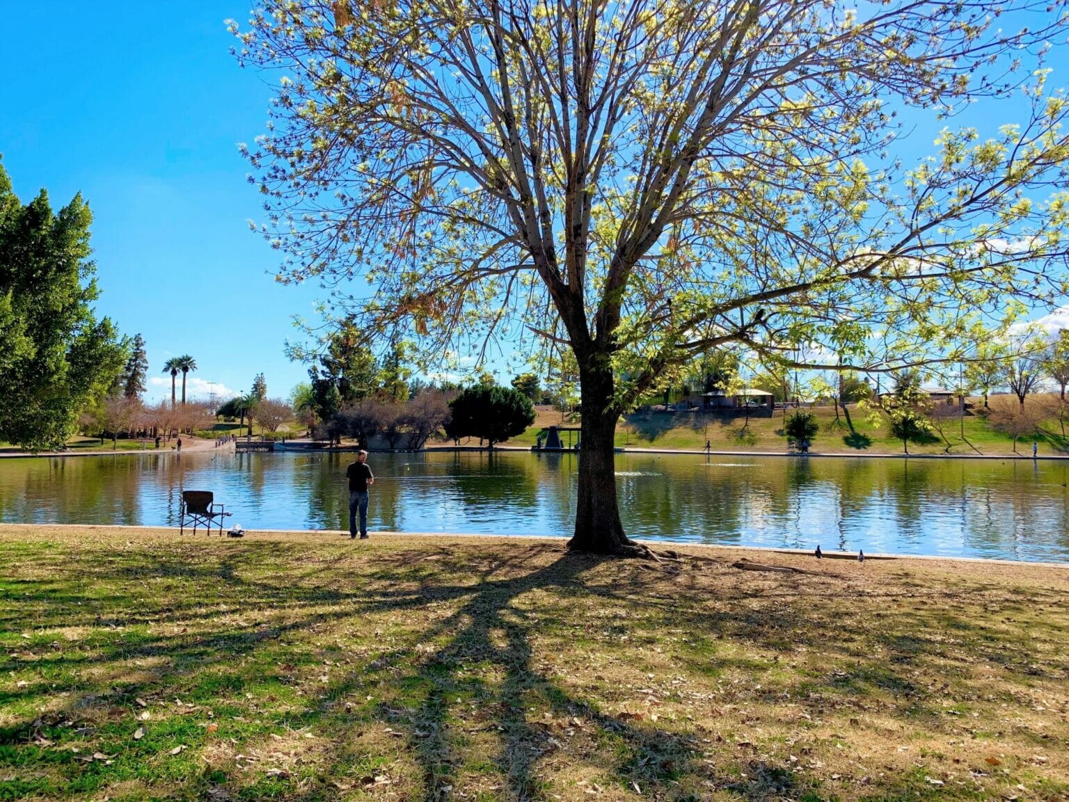 Picnics in the Park in Tempe | Tempe Tourism