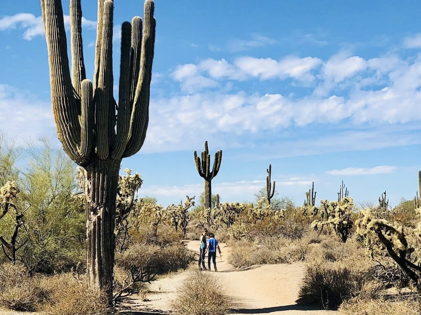 Family friendly hikes in the Tempe and Phoenix area | Tempe Tourism