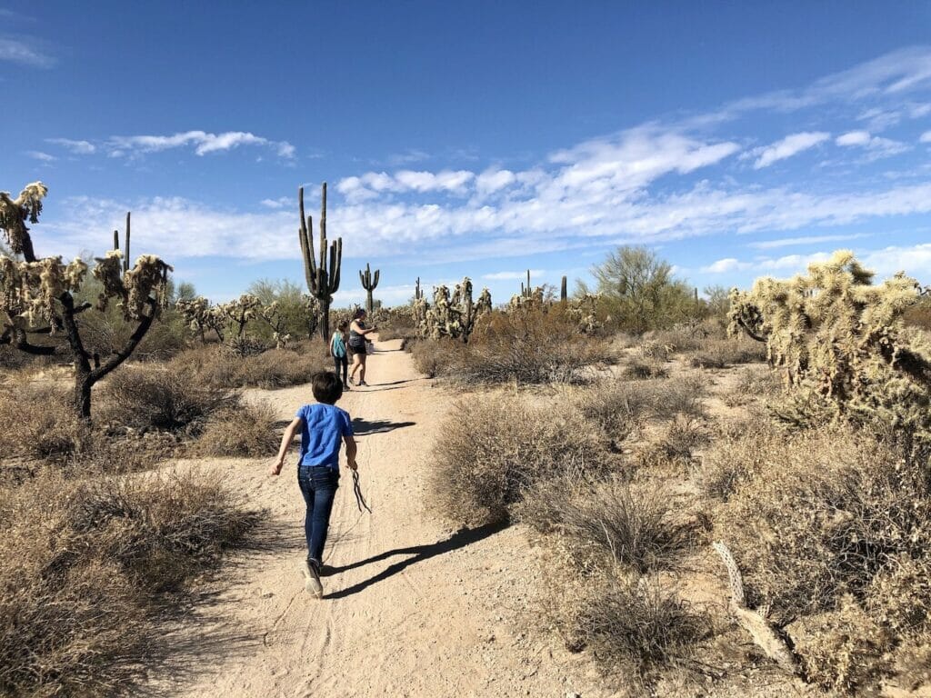 Family friendly hikes in the Tempe and Phoenix area | Tempe Tourism